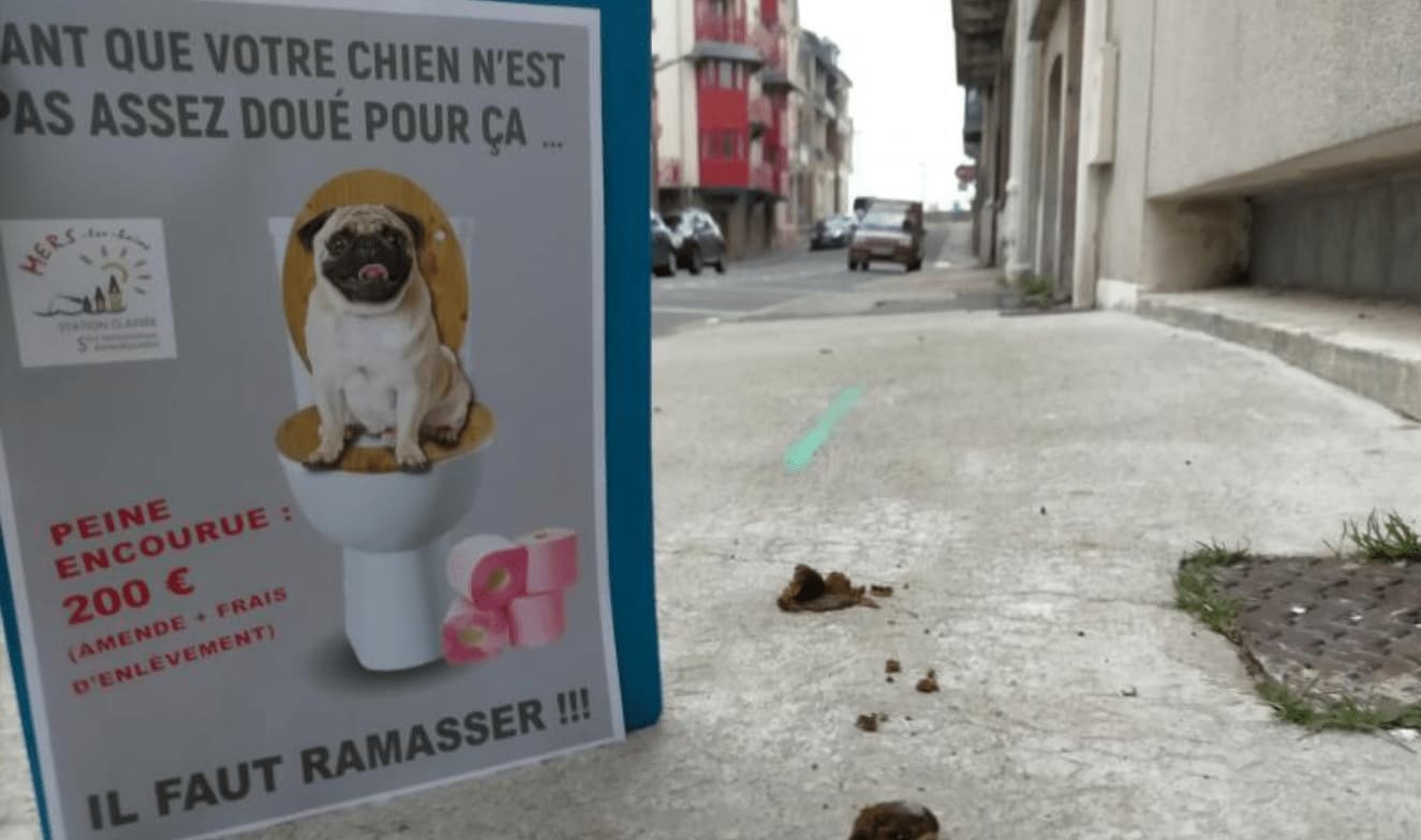 Mers-les-Bains : une drôle de campagne contre les crottes de chien - 16 ...